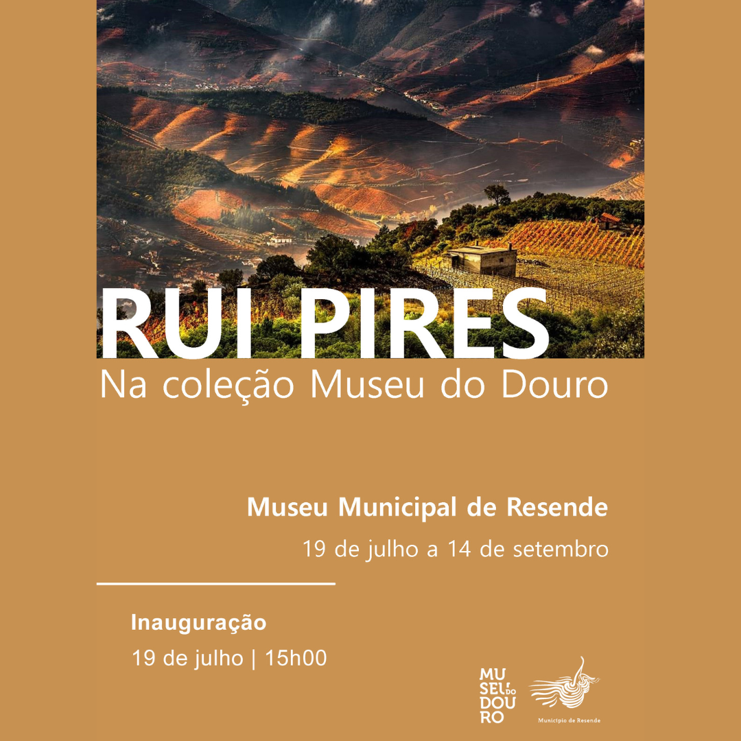 Exposição Rui Pires na Coleção Museu do Douro | Municipio de Resende